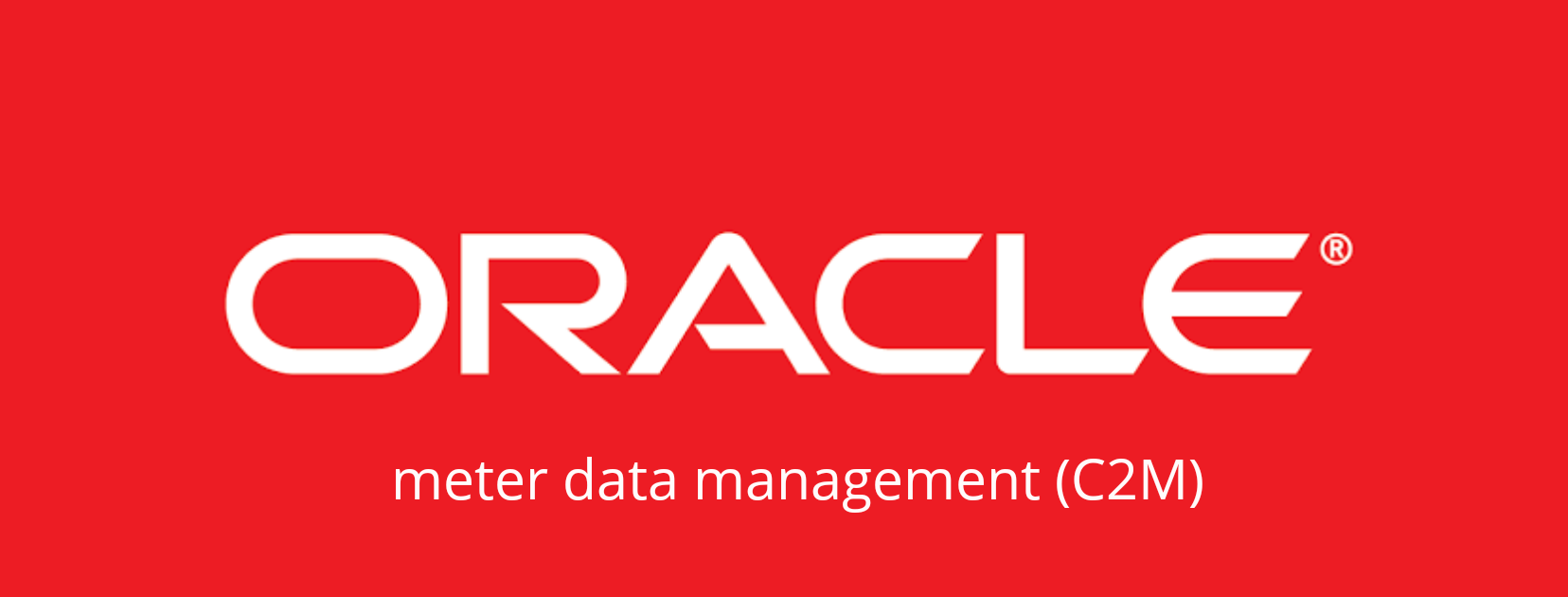 Meter Data Management System - Virtuoso Consulting & Technology